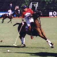 Polo à cheval règles du jeu du polo à cheval dossier 1cheval.com