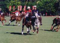 Polo à cheval règles du jeu du polo à cheval dossier 1cheval.com